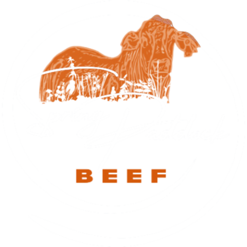 100% NT Beef & Buff | Eva Valley Meats